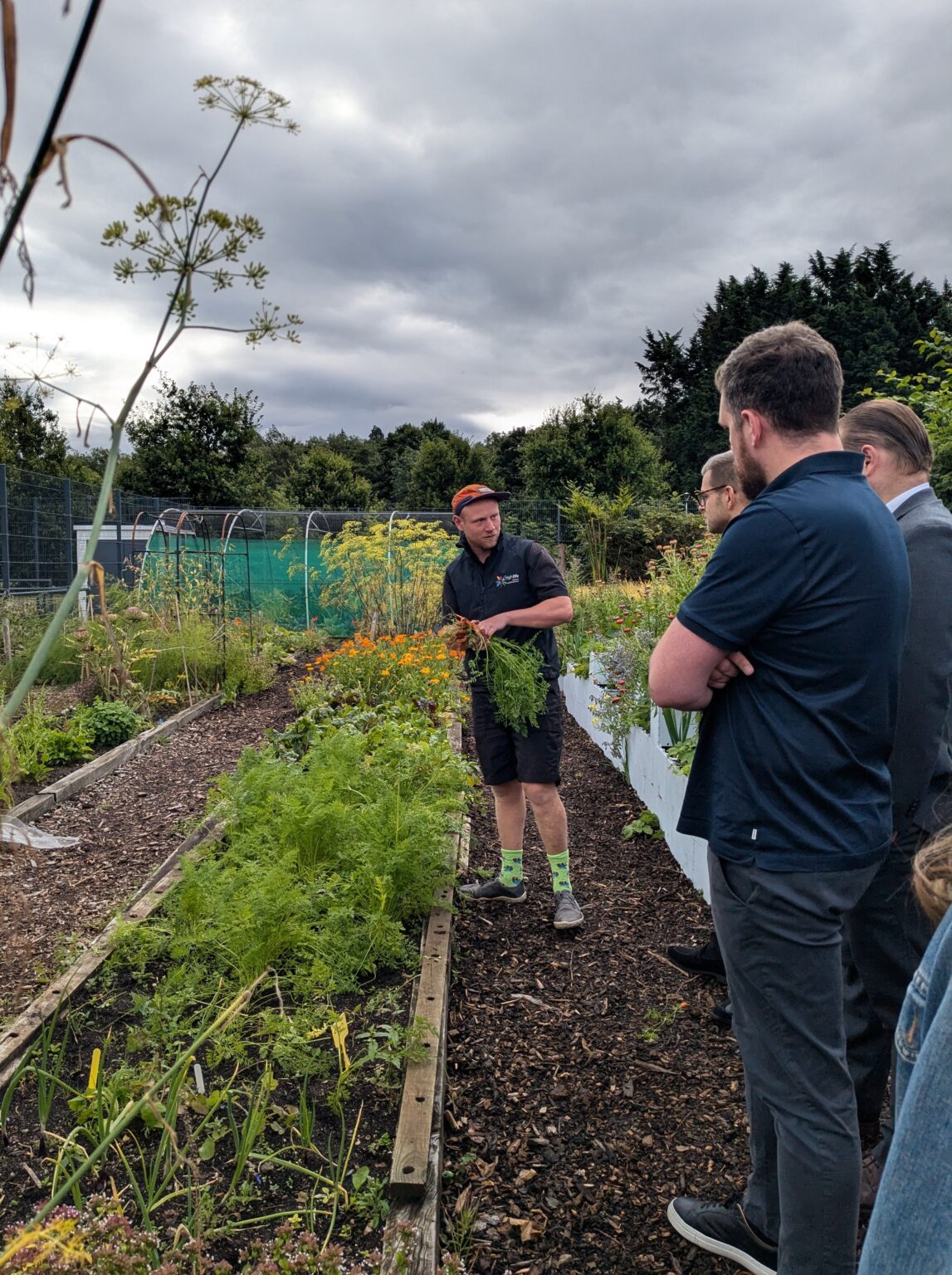 Speed Networking at Inverness Botanic Gardens: A Morning of Connection ...